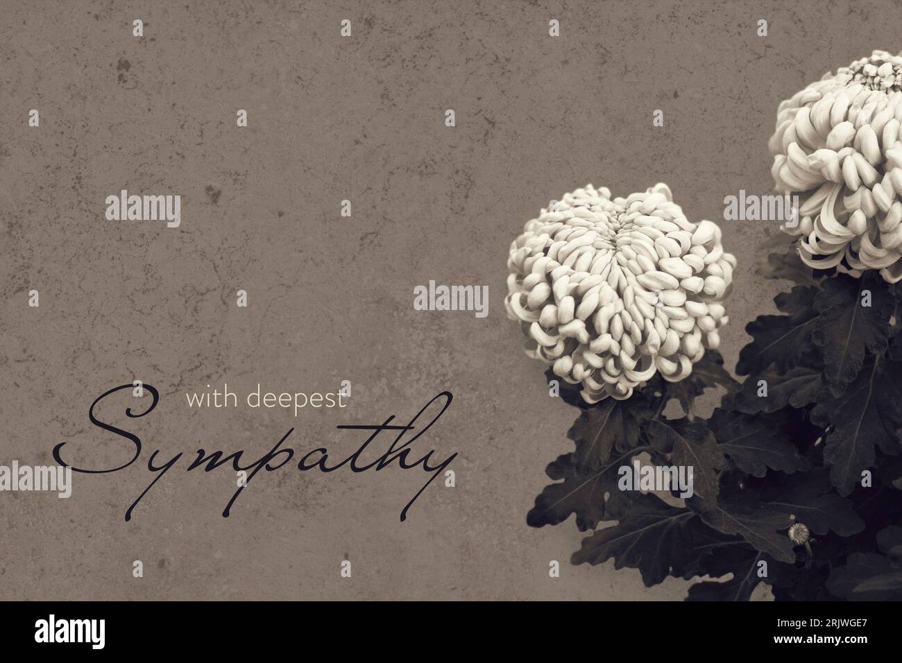 Condolence card background hi-res stock photography and images - Alamy