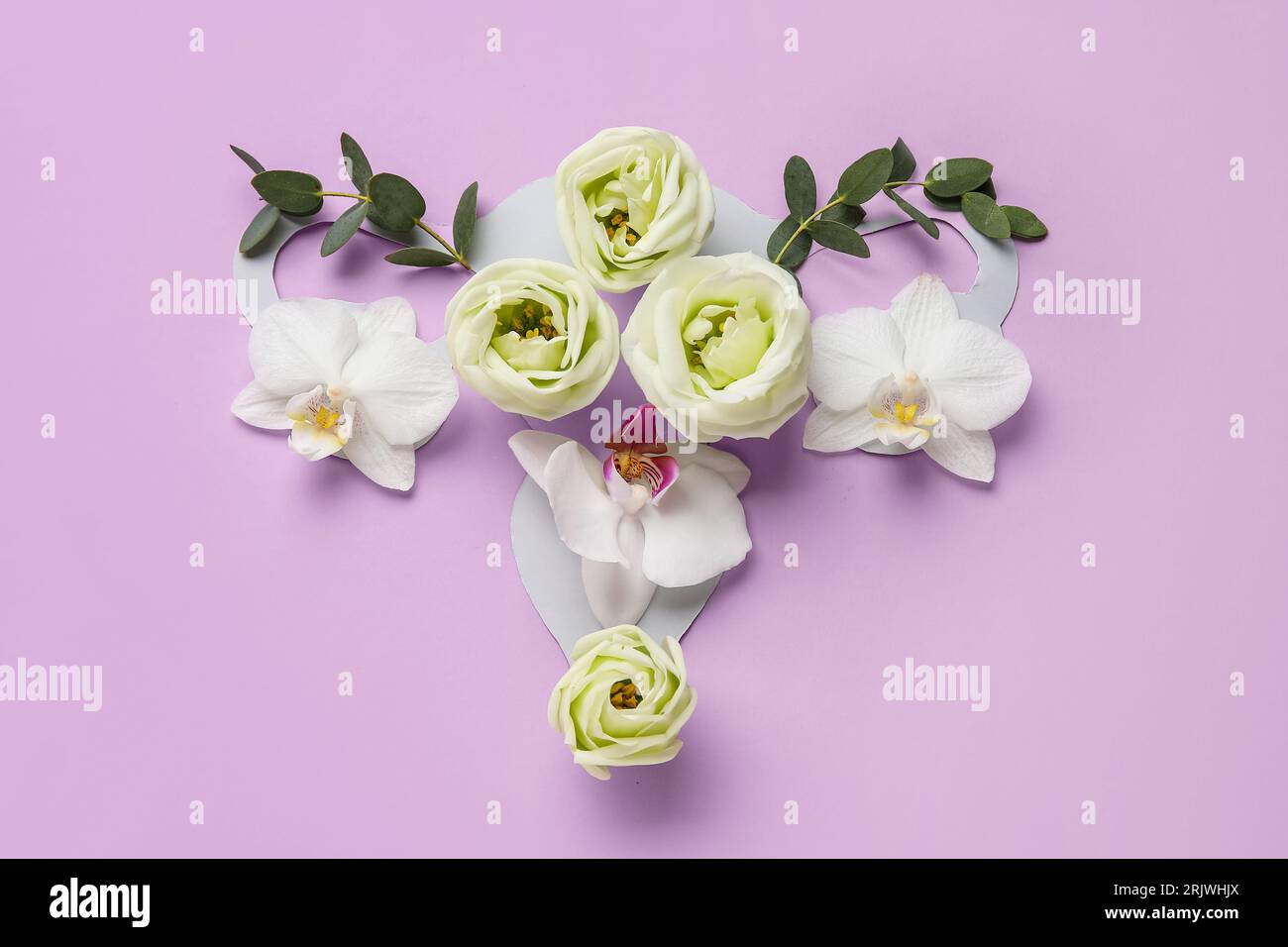 Uterus made of beautiful flowers on purple background Stock Photo - Alamy