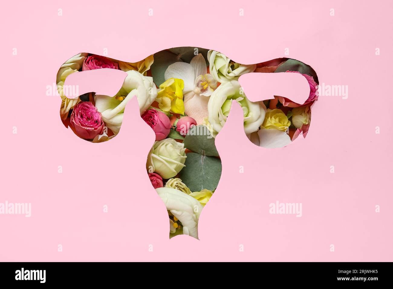 Uterus made of paper and beautiful flowers on pink background Stock ...