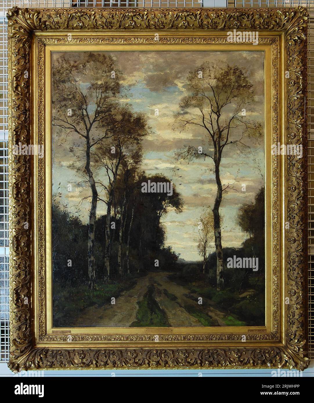 Q27020201 hi-res stock photography and images - Alamy