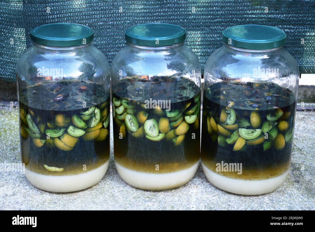 Making Nocino liqueur from green unripe walnuts Stock Photo - Alamy