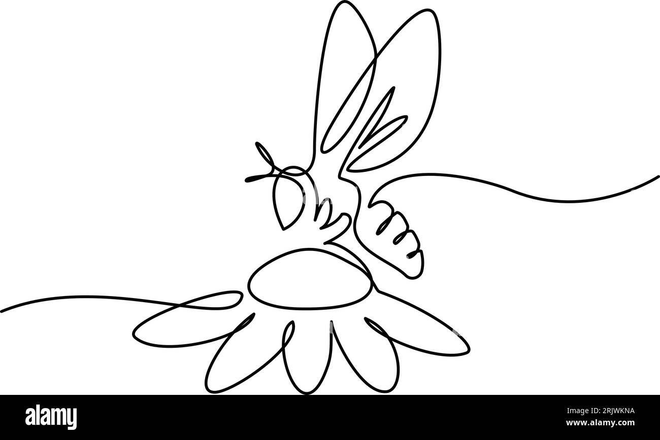 Flower line drawing Black and White Stock Photos & Images - Alamy