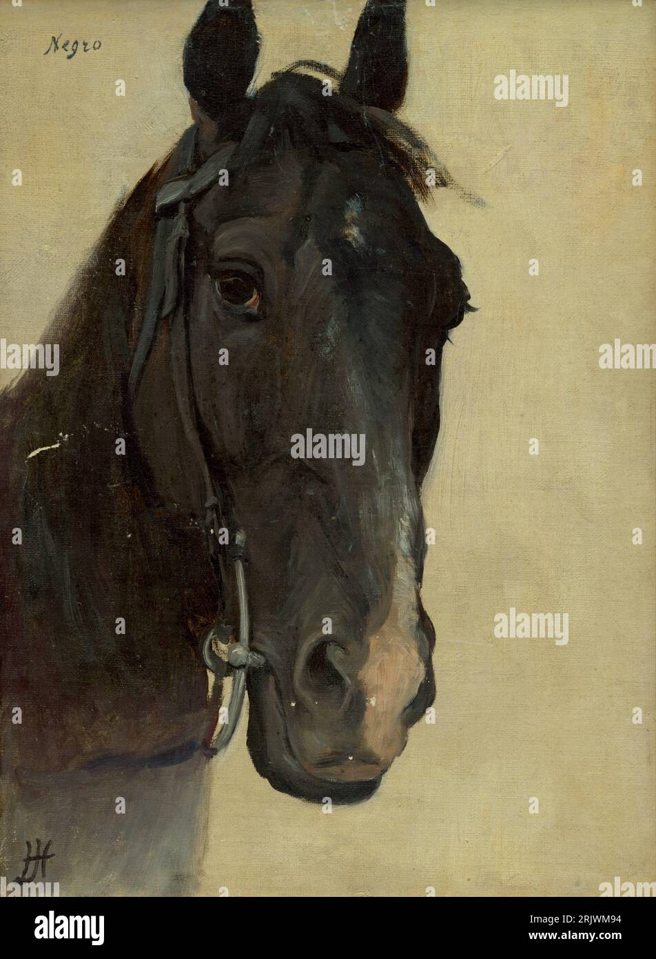 Head Study of Horse Negro between 1890 and 1900 by Jozef Hanula Stock ...