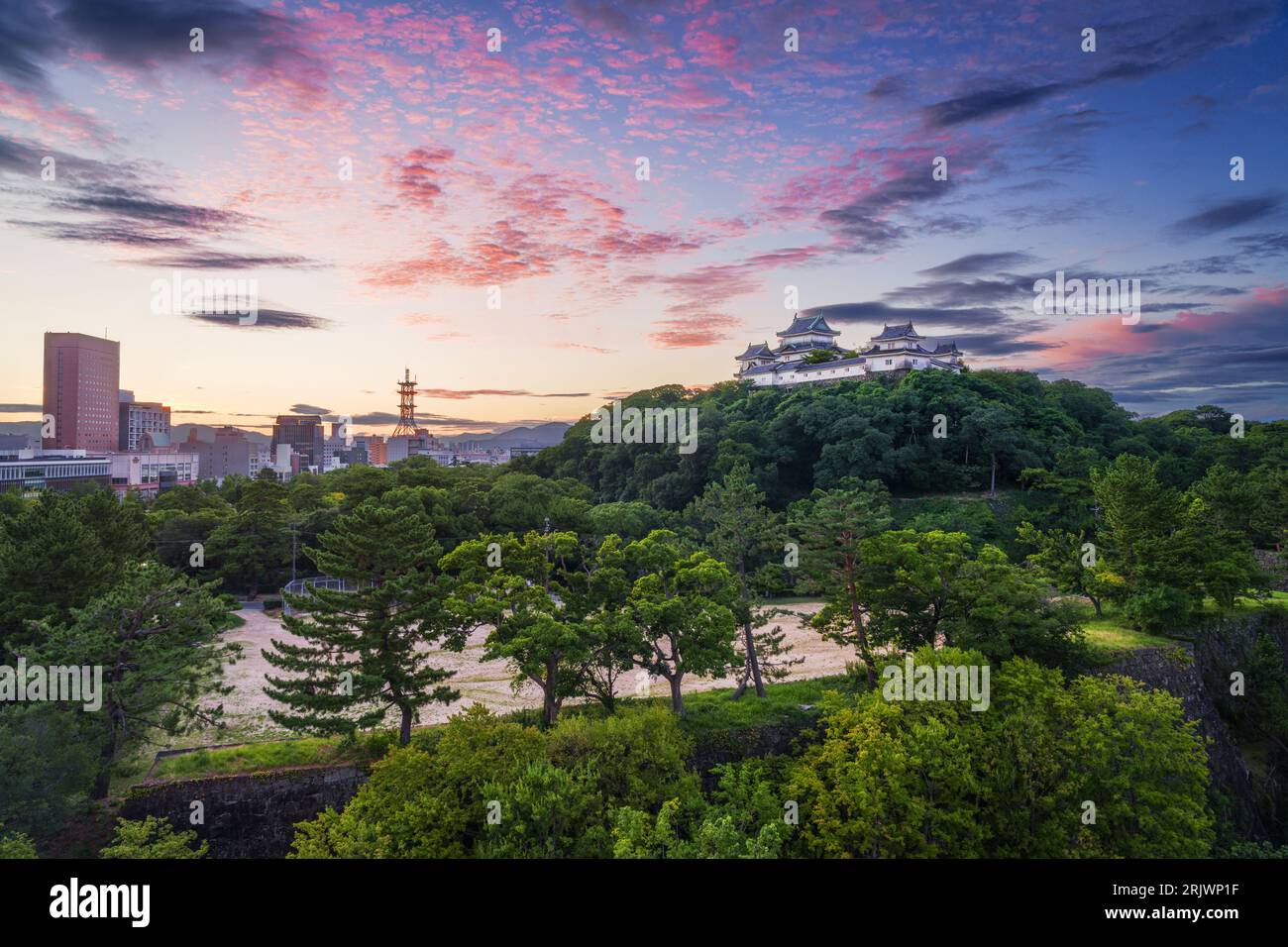 Wakayama, Japan downtown cityscape with the castle at dawn Stock Photo ...