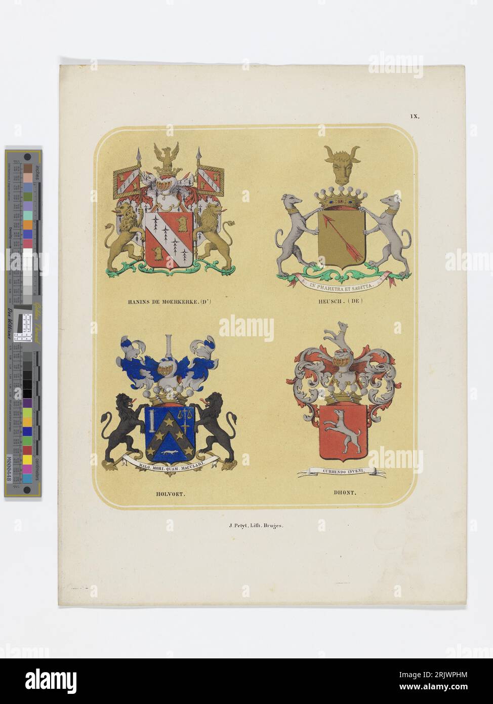 Bernard arms hi-res stock photography and images - Alamy