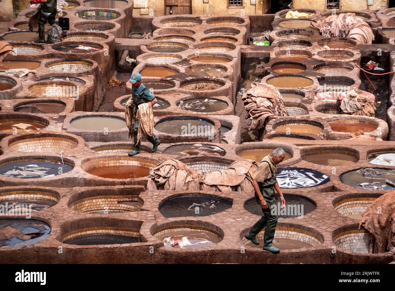 Famous tannery in the medina of Fes, where leather is being processed ...