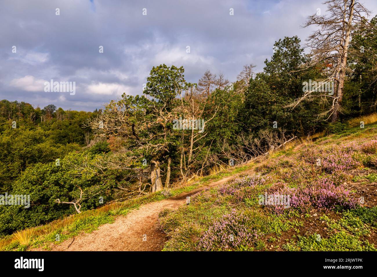 Dragon gorge eisenach hi-res stock photography and images - Alamy
