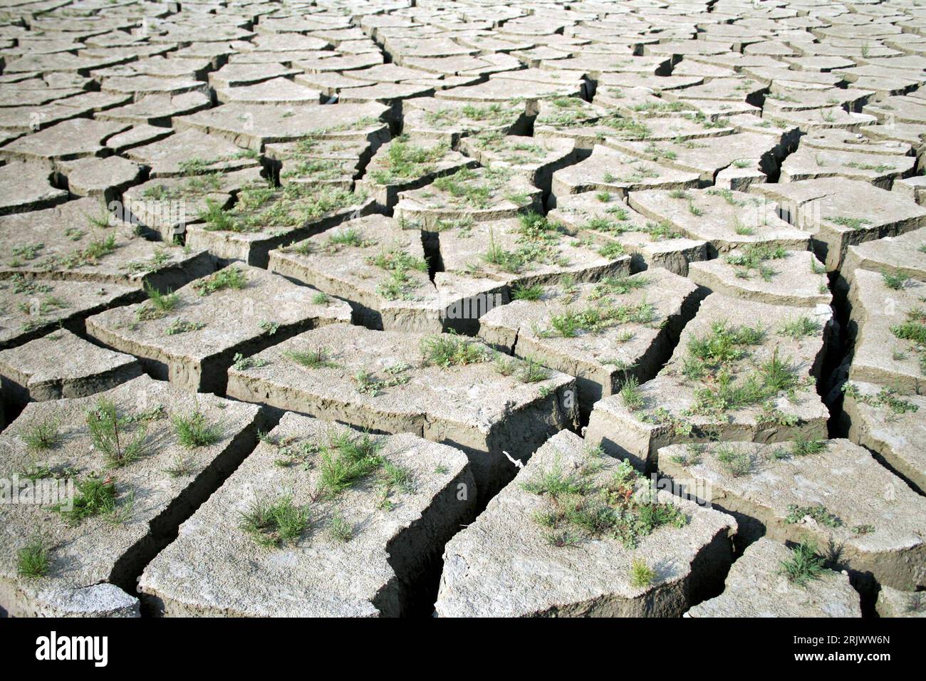 Risse natur hi-res stock photography and images - Alamy