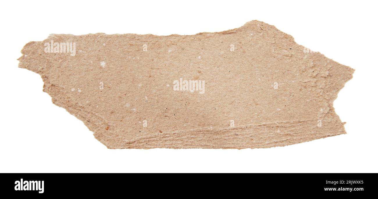 A piece of textured packaging cardboard. Piece of torn cardboard with ...