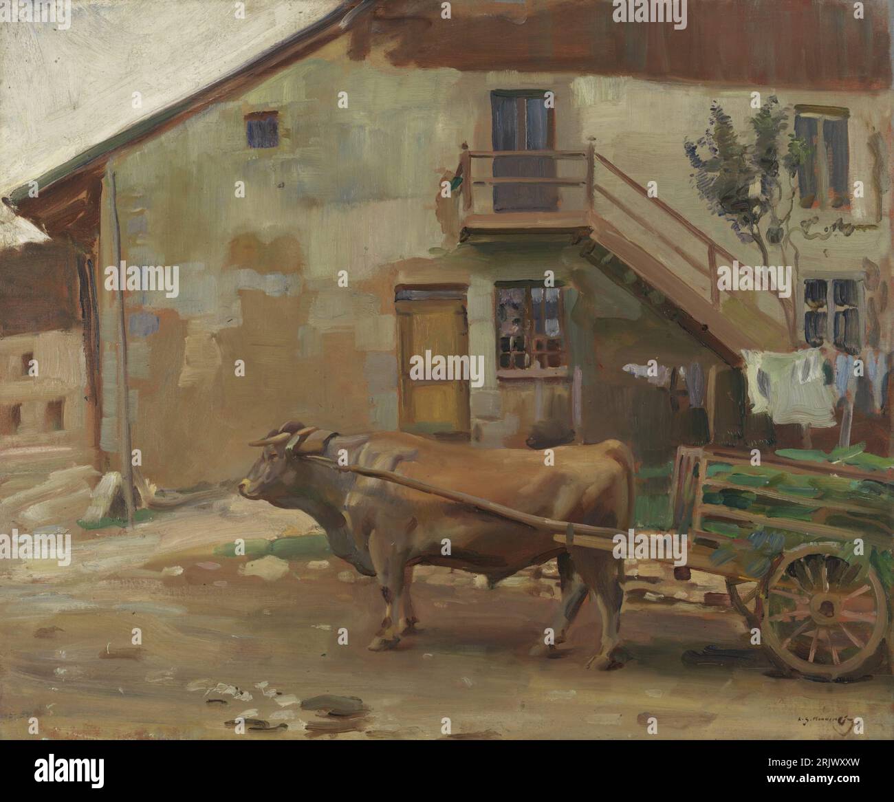STUDY OF A SWISS BULL before 1919 by Alfred Munnings Stock Photo - Alamy