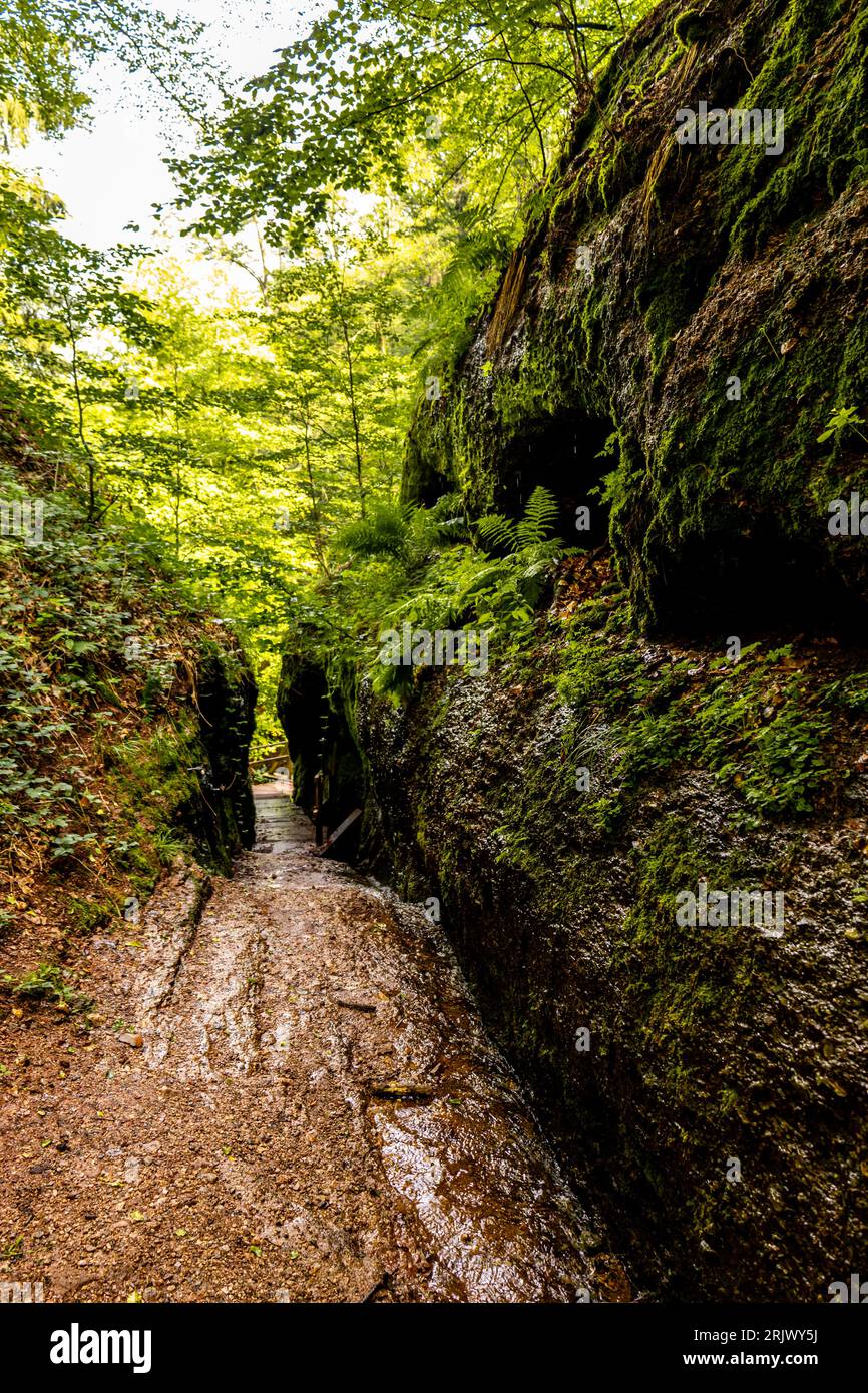 Dragon gorge eisenach hi-res stock photography and images - Alamy