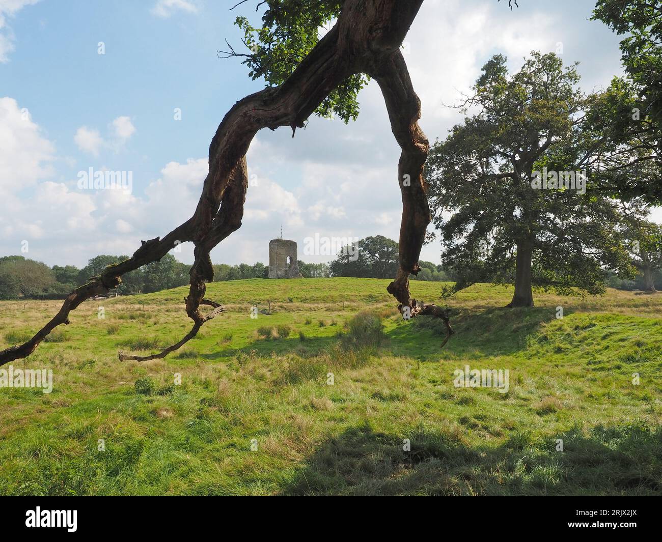Knepp Castle or Old Knepp Castle on the Knepp rewilding estate, West ...