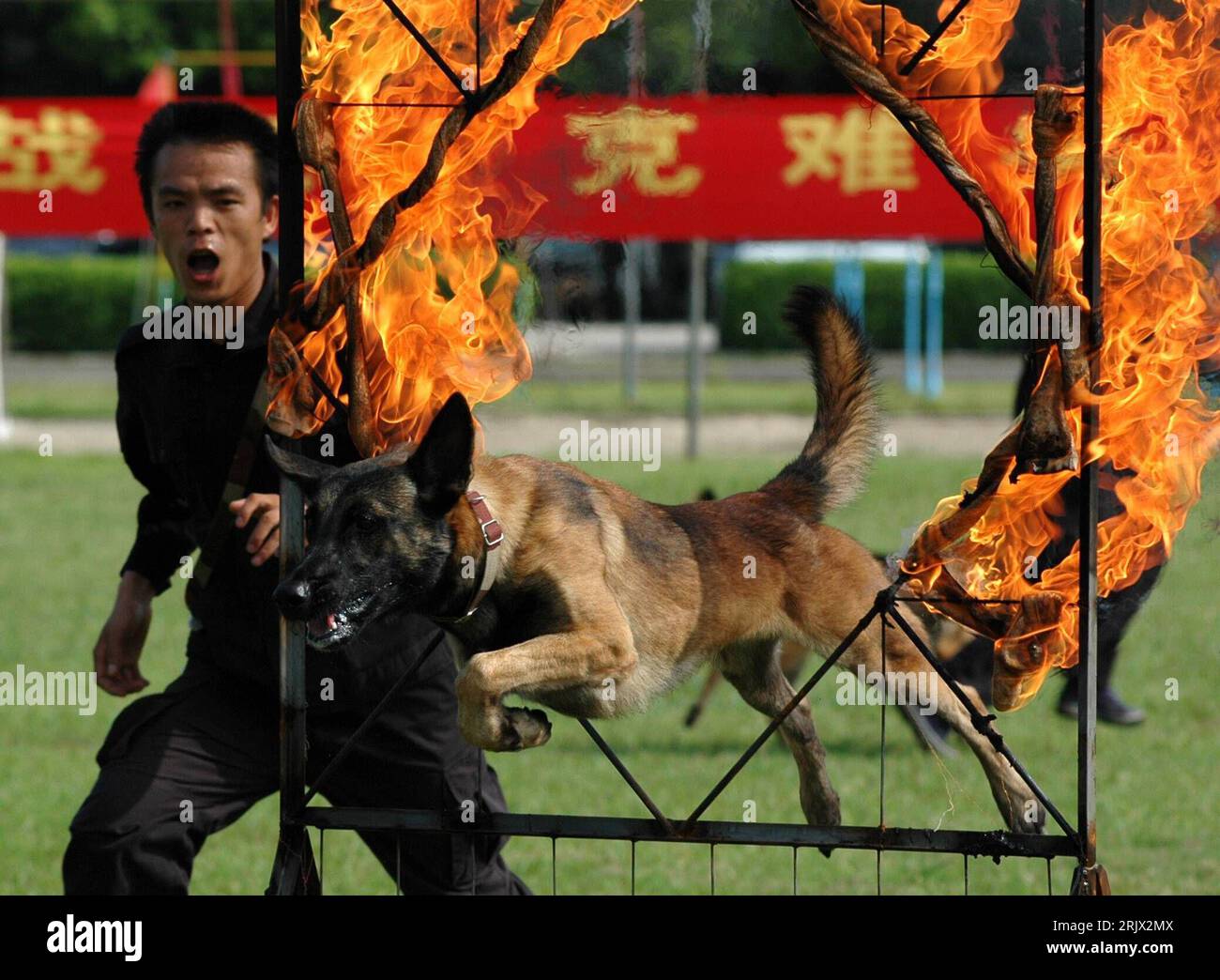 Trainer reifen hi-res stock photography and images - Alamy