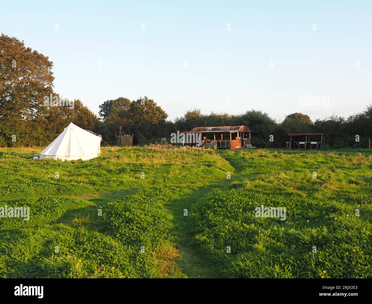 Bell tent on the camping field at Knepp rewilding project. Shot taken ...