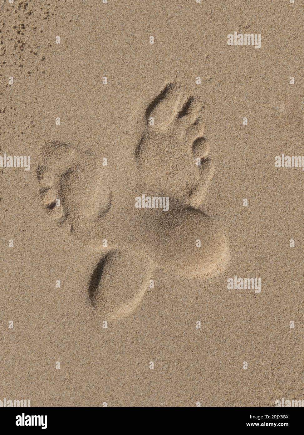 Two footprints crossing on a sandy beach. Honeymoon couple in love ...