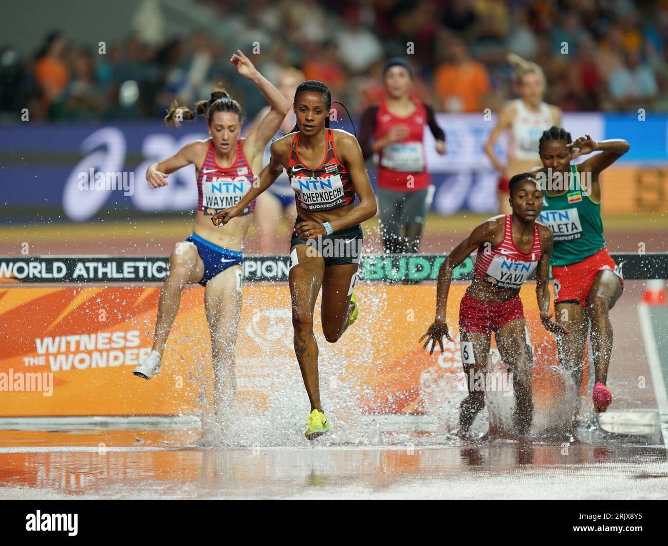 Budapest, Hungary. 23rd Aug, 2023. Athletics: World Championships, 3000 ...