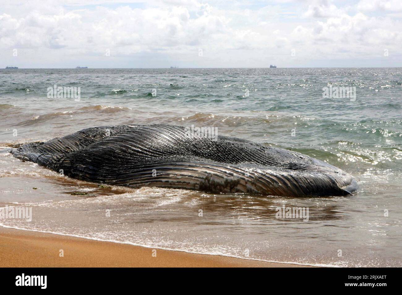 Tot am strand hi-res stock photography and images - Alamy