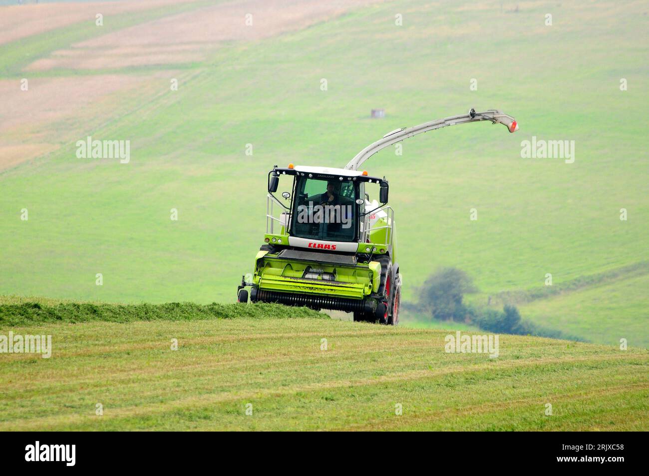 Forage harvester cutting silage on a Dorset hillside Stock Photo - Alamy