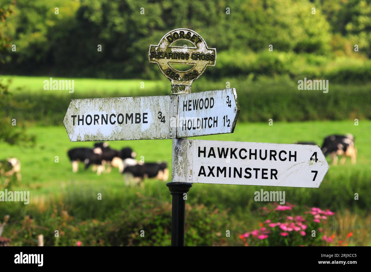 fingerpost or waymark sign at Shearings Cross, Dorset Stock Photo - Alamy