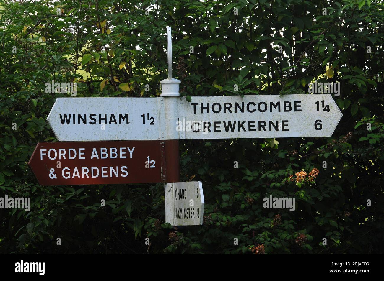 fingerpost or waymark sign near Thorncombe, Dorset Stock Photo - Alamy
