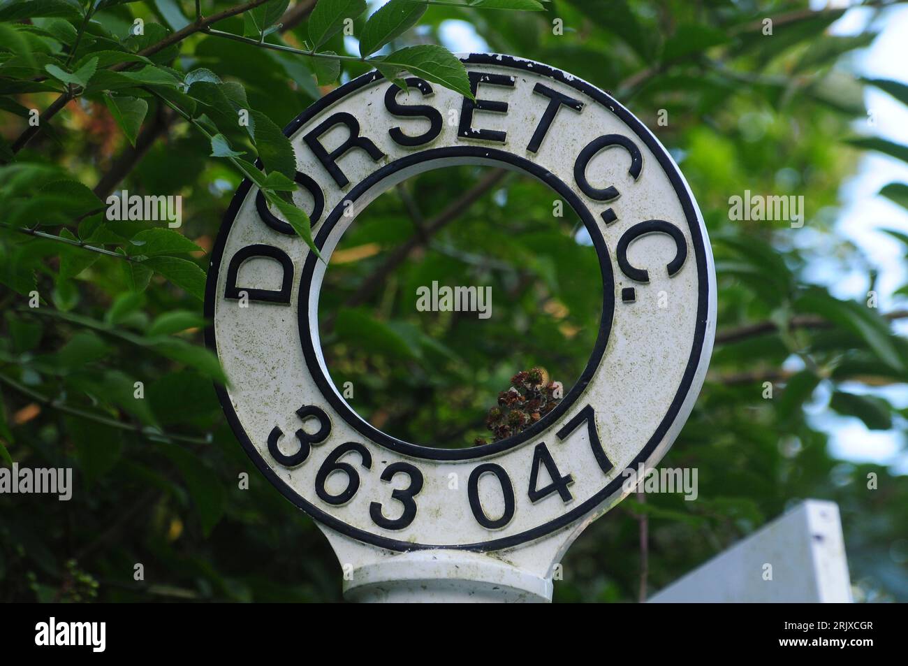 fingerpost or waymark sign Stock Photo - Alamy