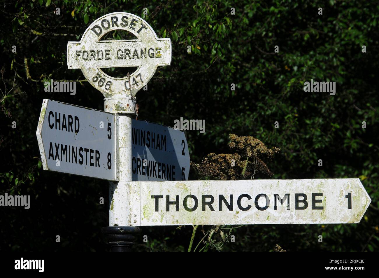 fingerpost or waymark sign at Forde Grange Dorset Stock Photo - Alamy