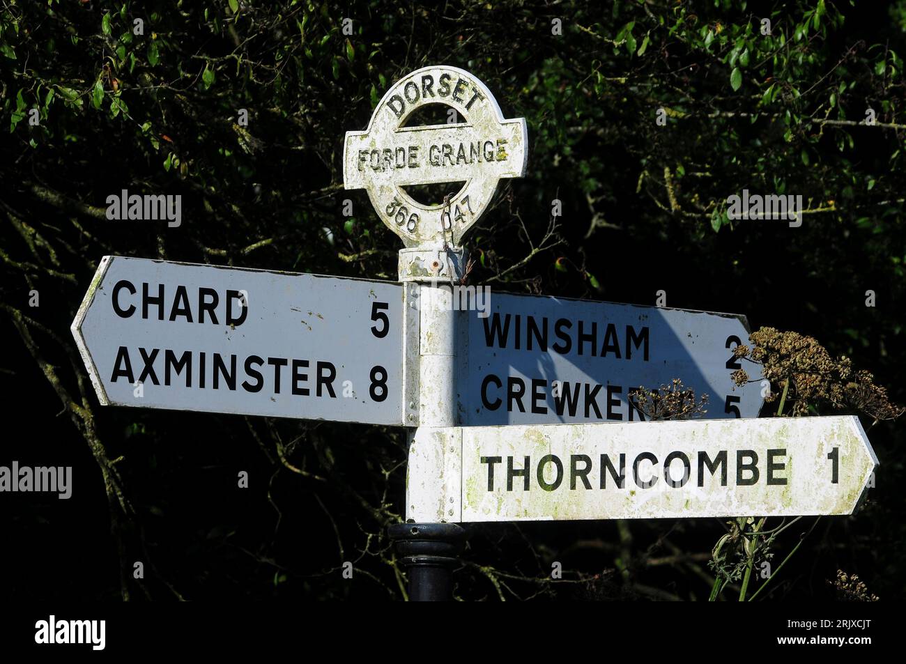 fingerpost or waymark sign at Forde Grange Dorset Stock Photo - Alamy