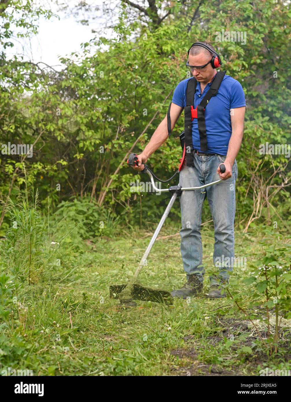 lawn trimming with hand petrol mower. work on mowing tall grass with ...