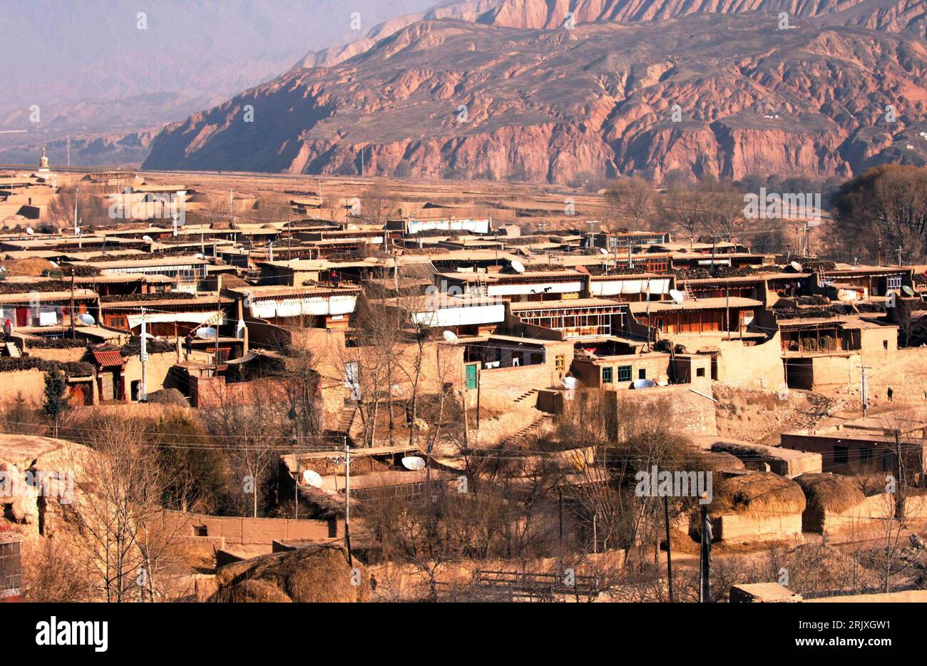 Gomar hi-res stock photography and images - Alamy