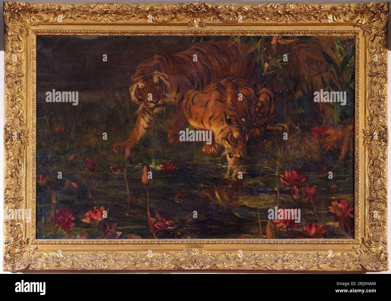 Tigers Drinking by John Macallan Swan Stock Photo - Alamy