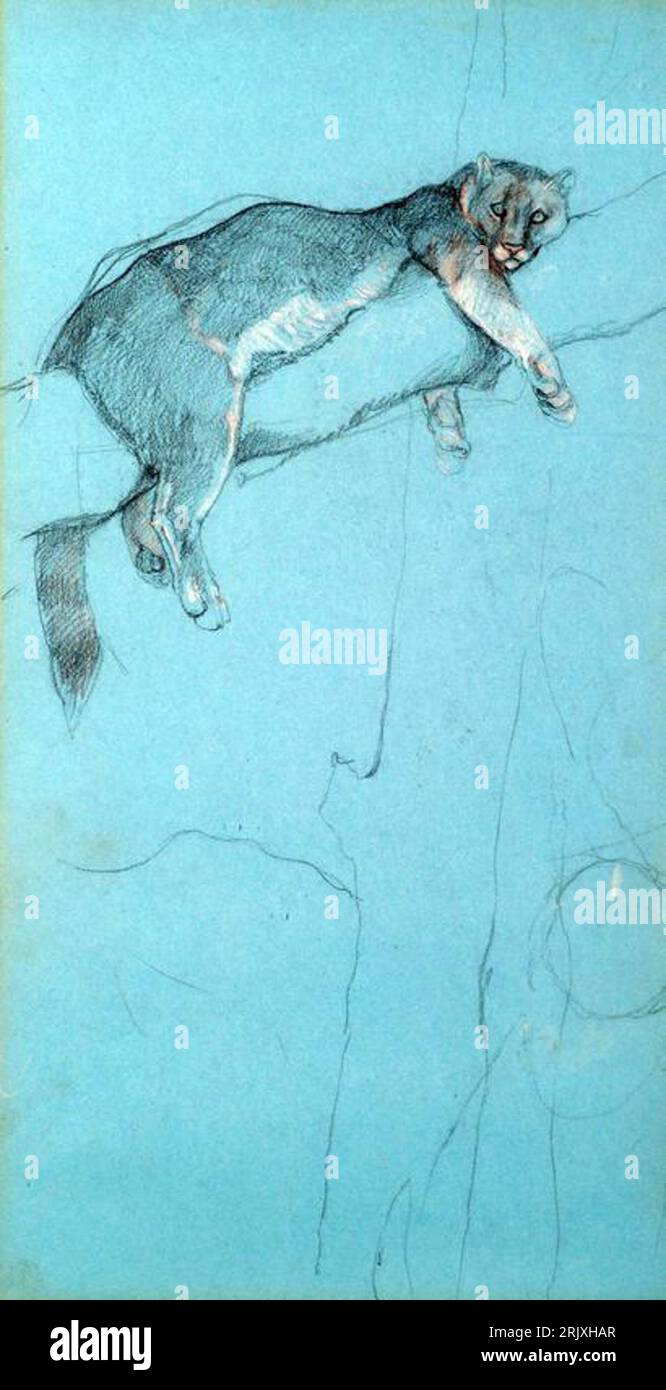 John puma hi-res stock photography and images - Alamy