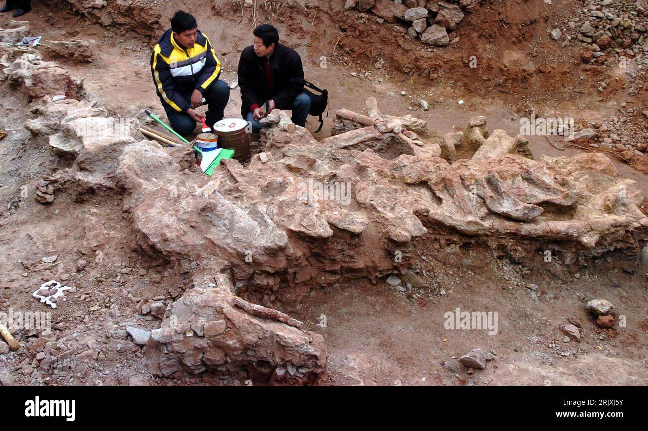 Fossilien dinosaurier hi-res stock photography and images - Alamy