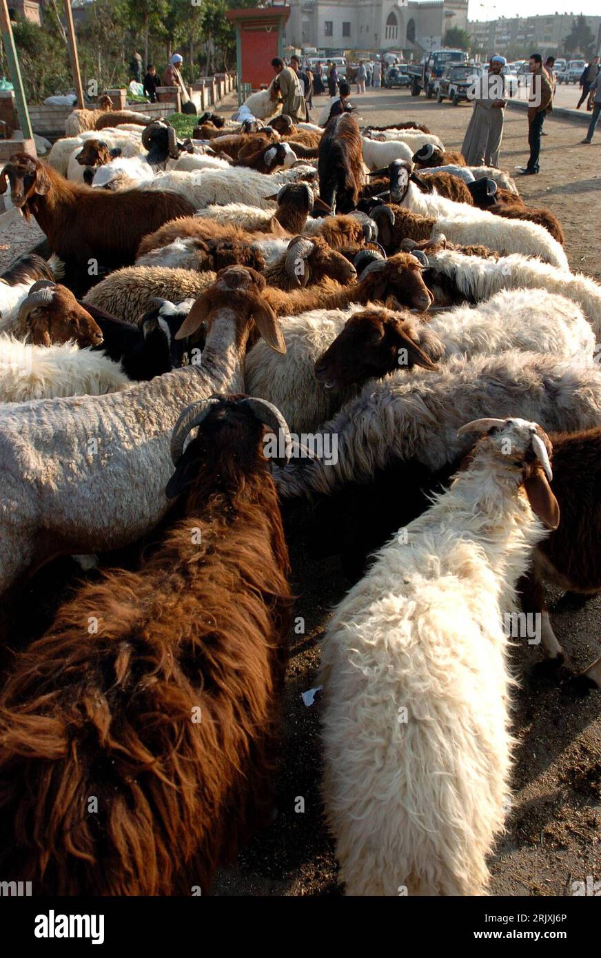 Opferfestes hi-res stock photography and images - Alamy