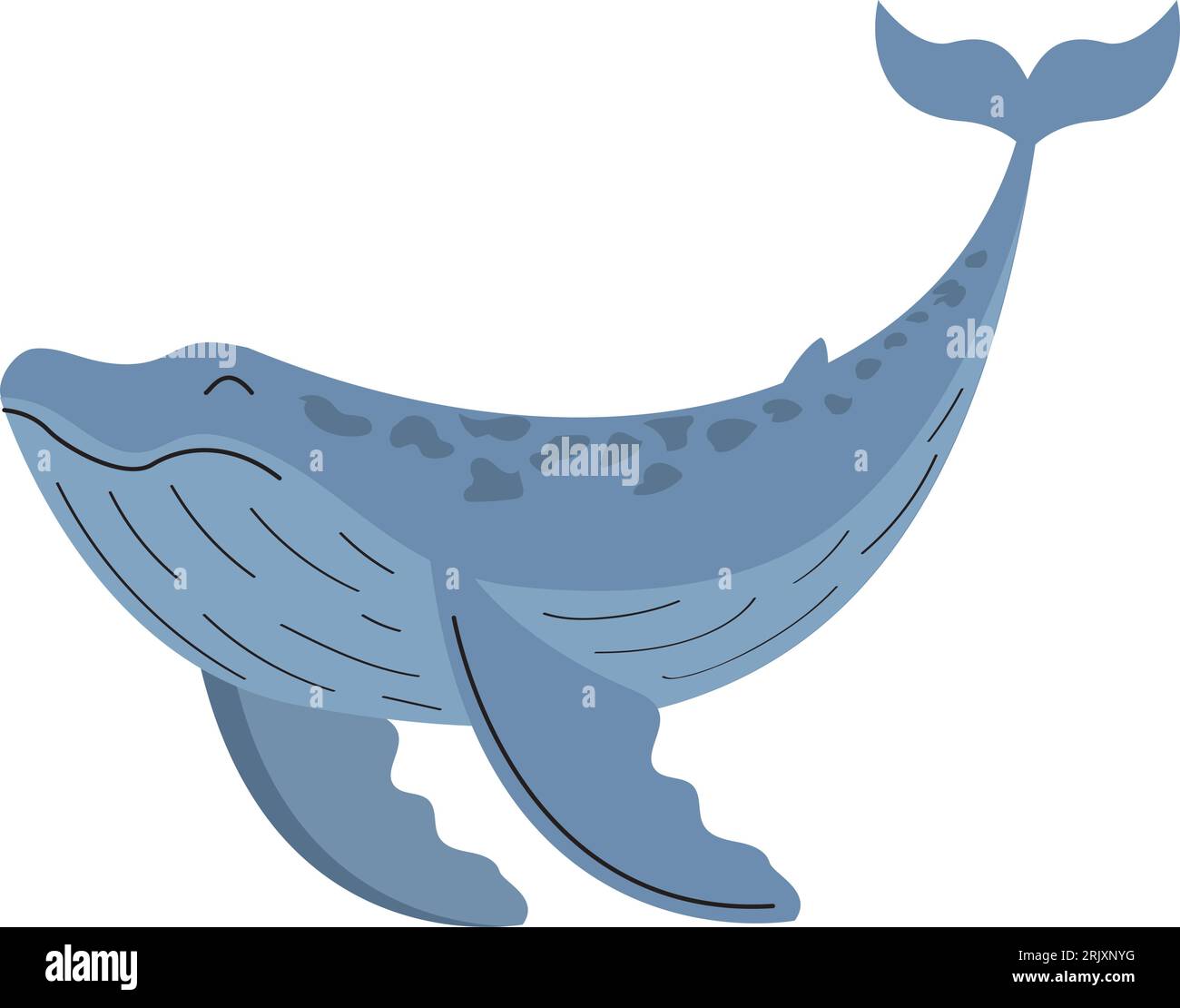 gray whale design Stock Vector Image & Art - Alamy