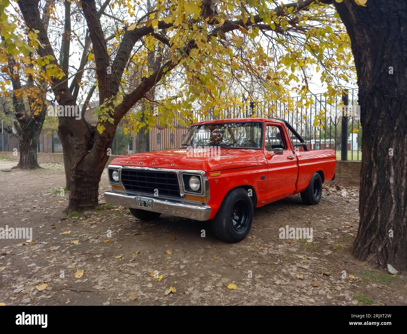 Old red utility 1979 Ford F 100 V8 pickup truck under the trees ...