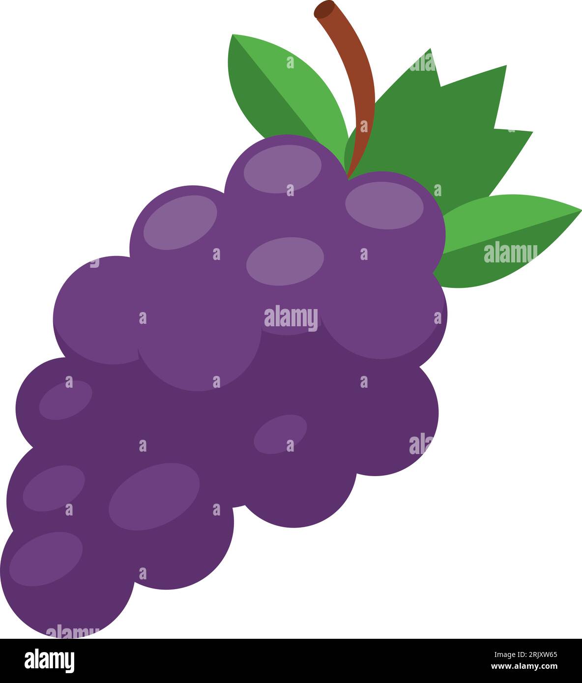 healthy grapes design Stock Vector Image & Art - Alamy