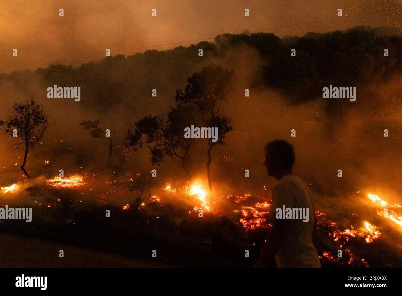 A view of flames as a forest burns, in the village of Dikela, near ...