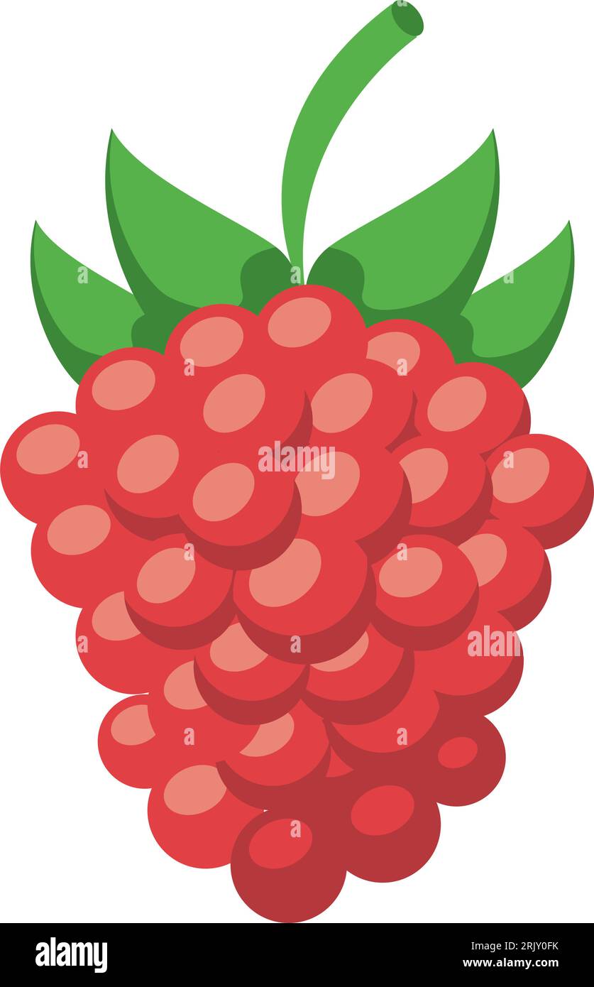 healthy berries design Stock Vector Image & Art - Alamy