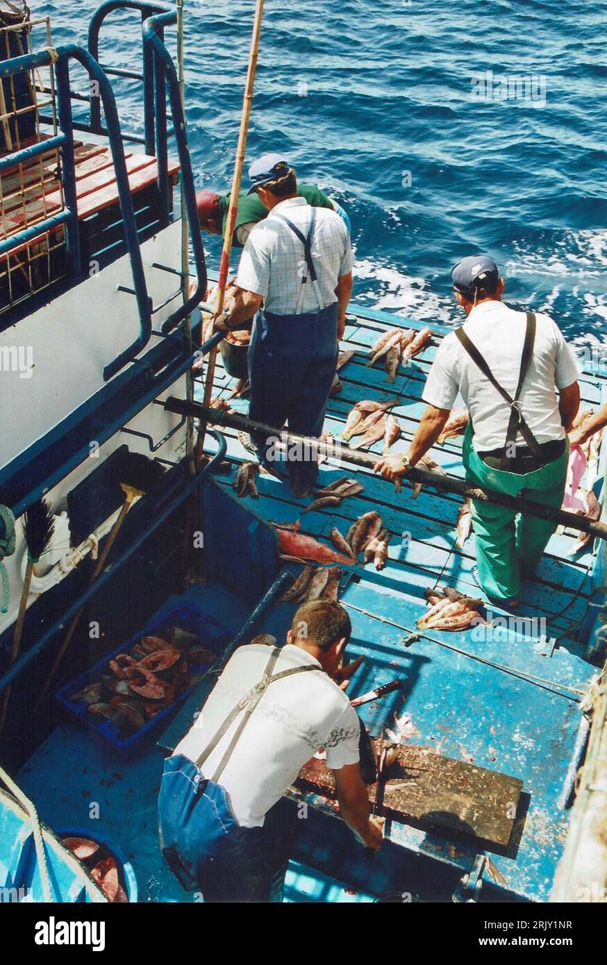 Pole and line tuna fisheries in the Azores islands, Portugal Stock ...