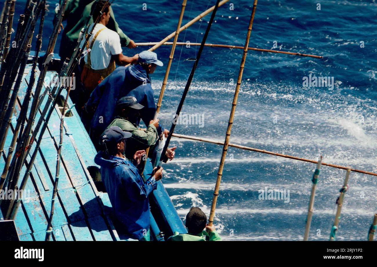 Pole and line tuna fisheries in the Azores islands, Portugal Stock ...