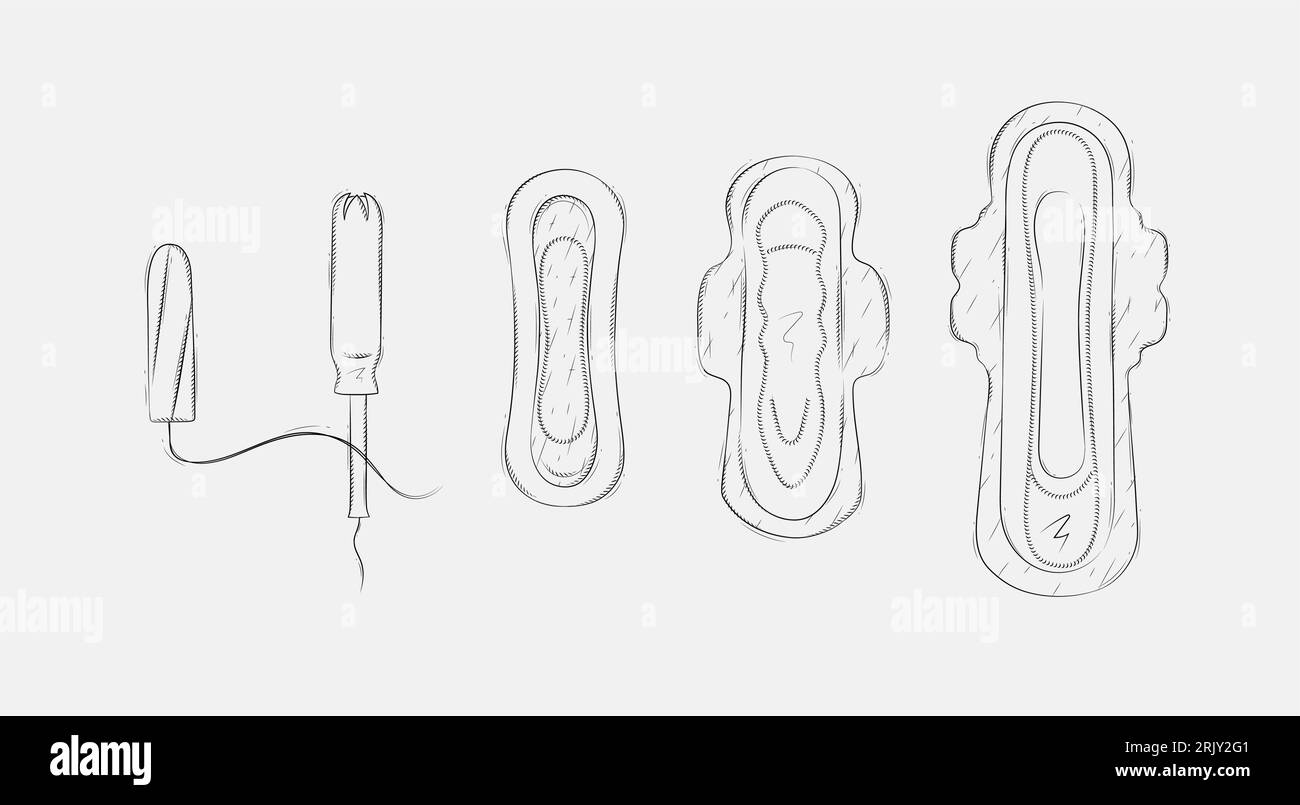 Menstrual cycle drawing Black and White Stock Photos & Images - Alamy