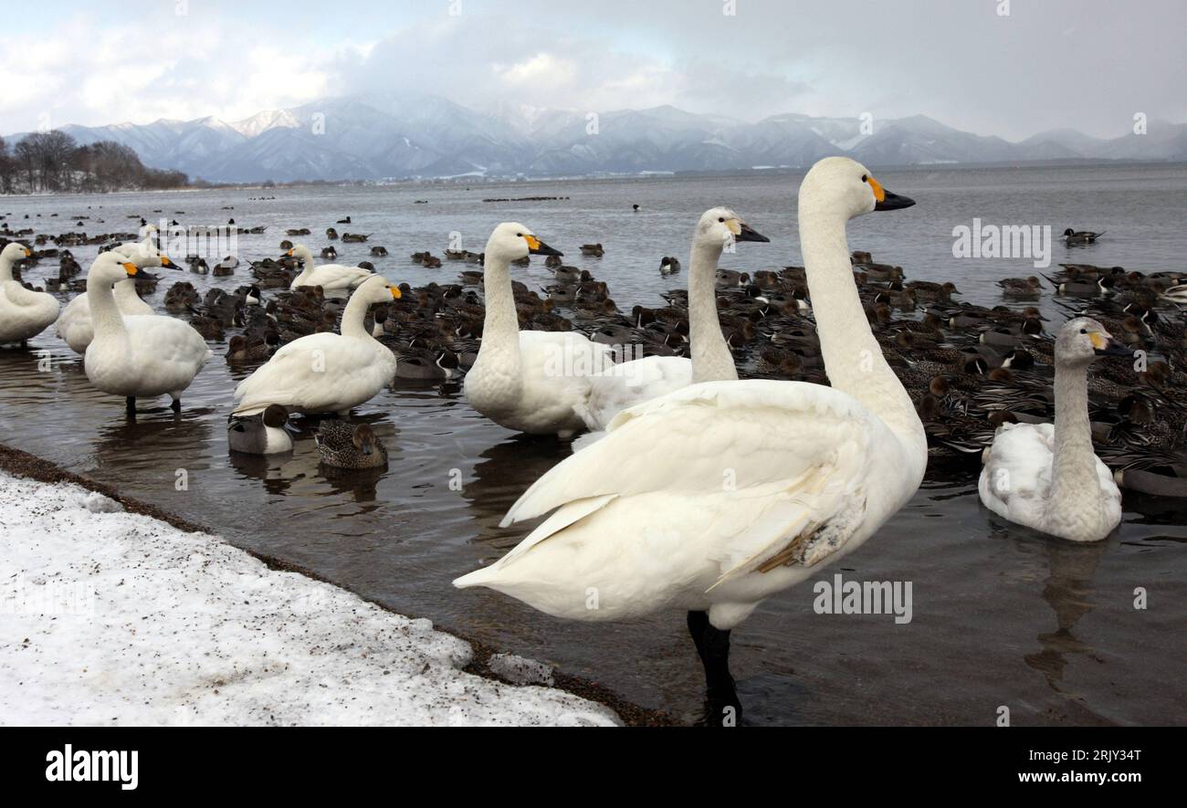 Ken vogel hi-res stock photography and images - Alamy