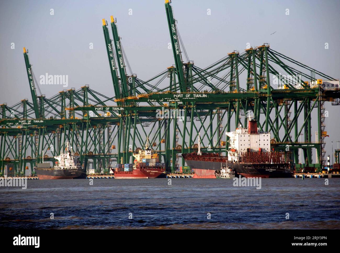 Bildnummer: 52438117 Datum: 29.02.2008 Copyright: imago/Xinhua ...