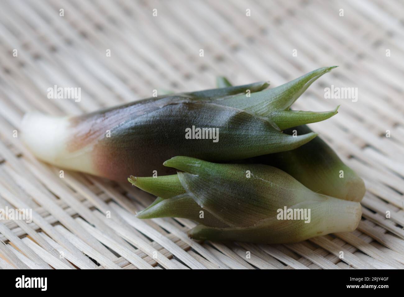 Whole Japanese myoga ginger shoots on bamboo basket Stock Photo - Alamy