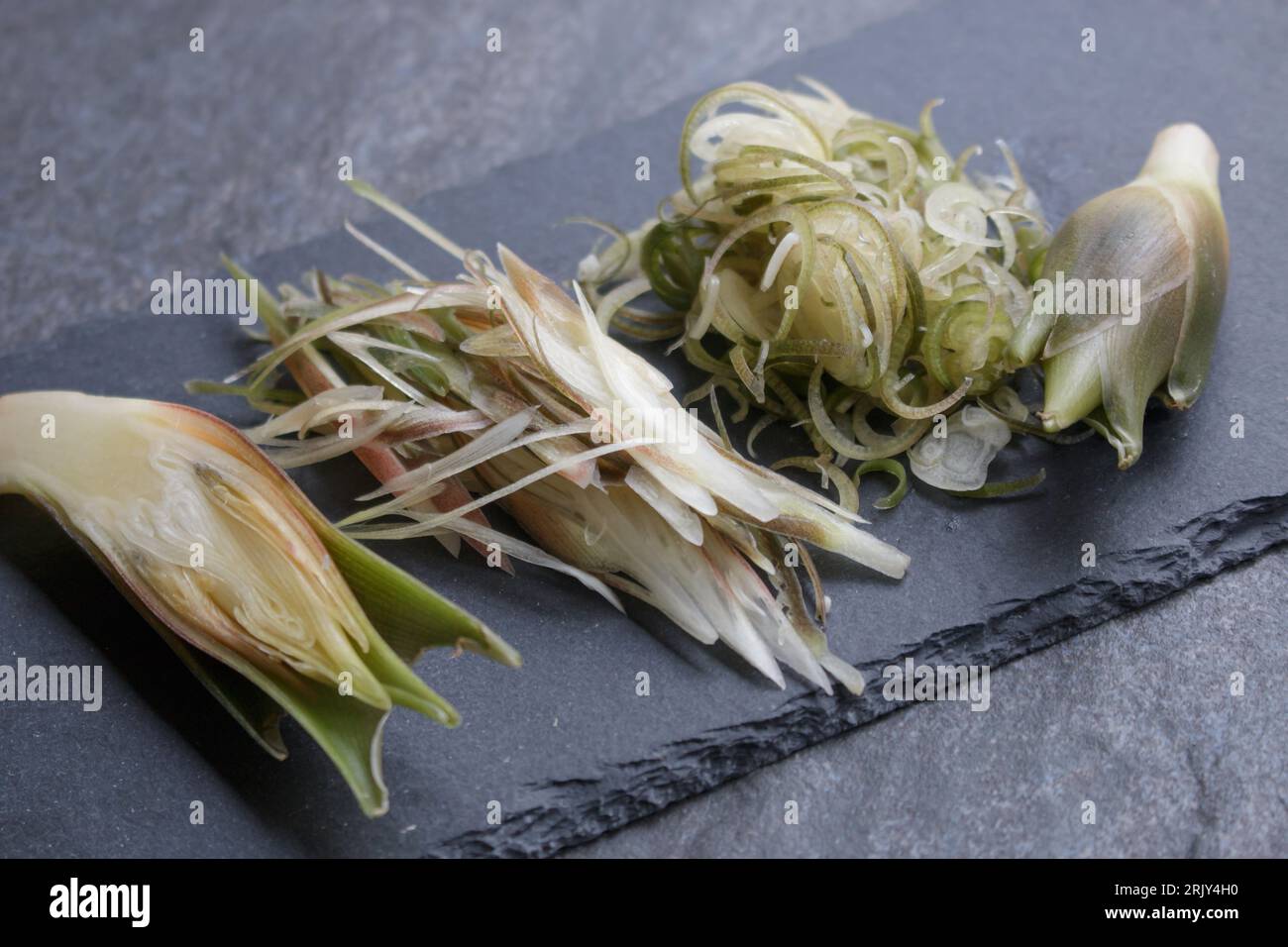 Sliced Japanese myoga ginger herb food garnish Stock Photo - Alamy
