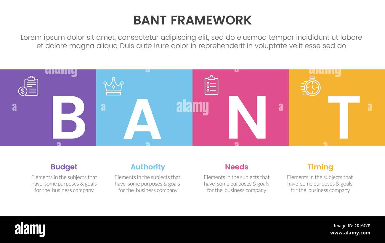 bant sales framework methodology infographic with square box full width ...