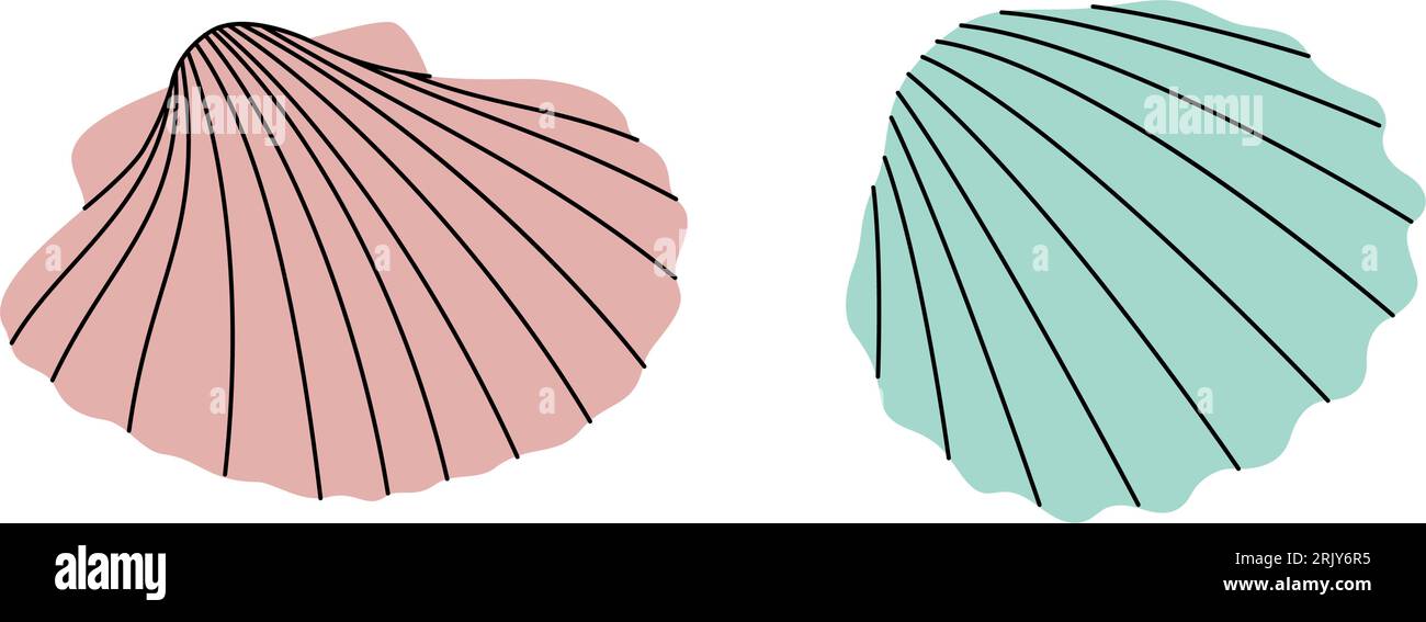 Scallop sea shells. Sea shells, mollusks, scallop, pearls. Tropical ...