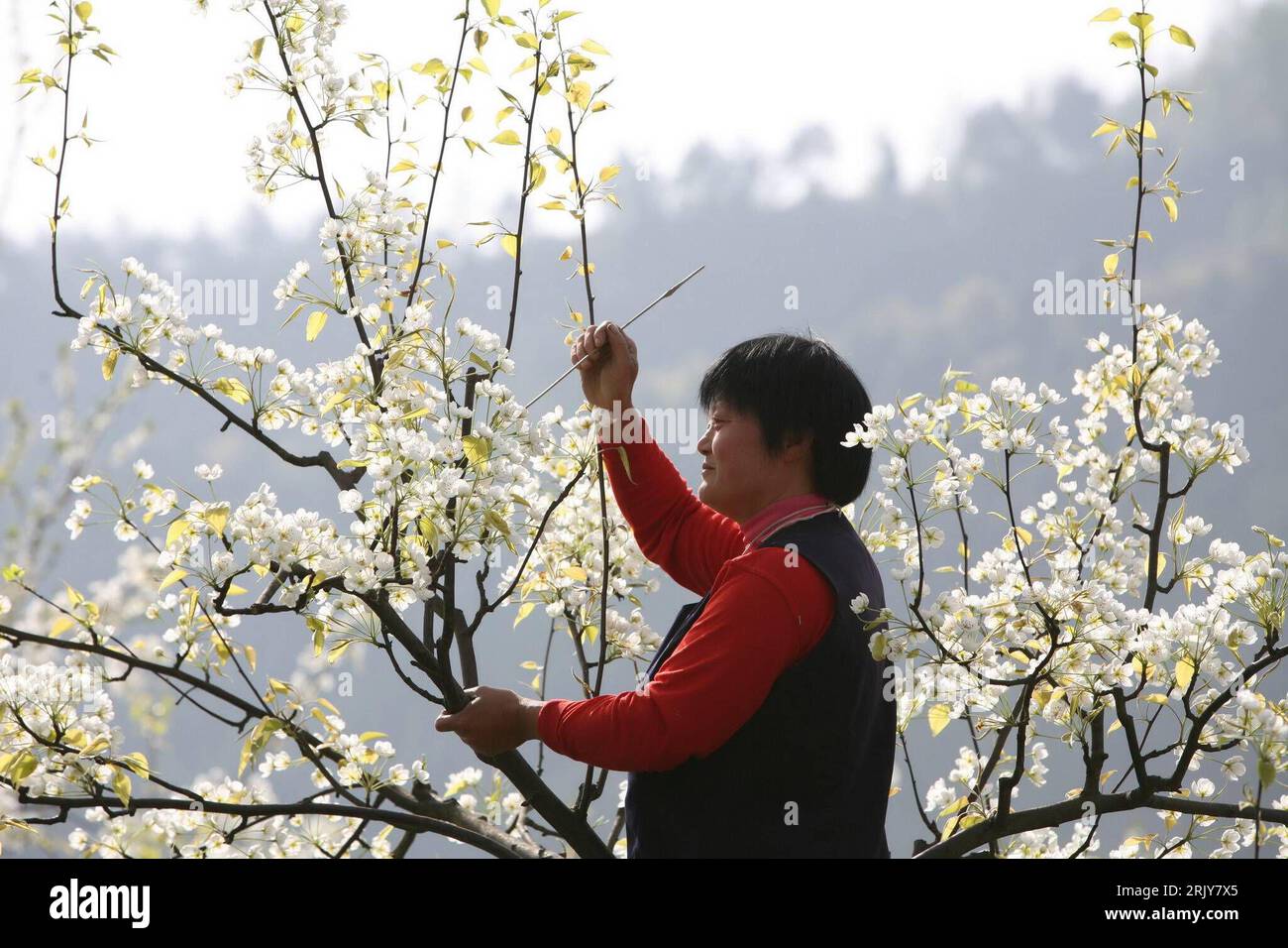 Obstbauer hi-res stock photography and images - Alamy