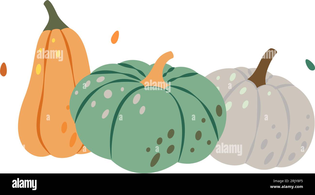 Halloween pumpkins. Set of pumpkins. Autumn halloween vegetables ...