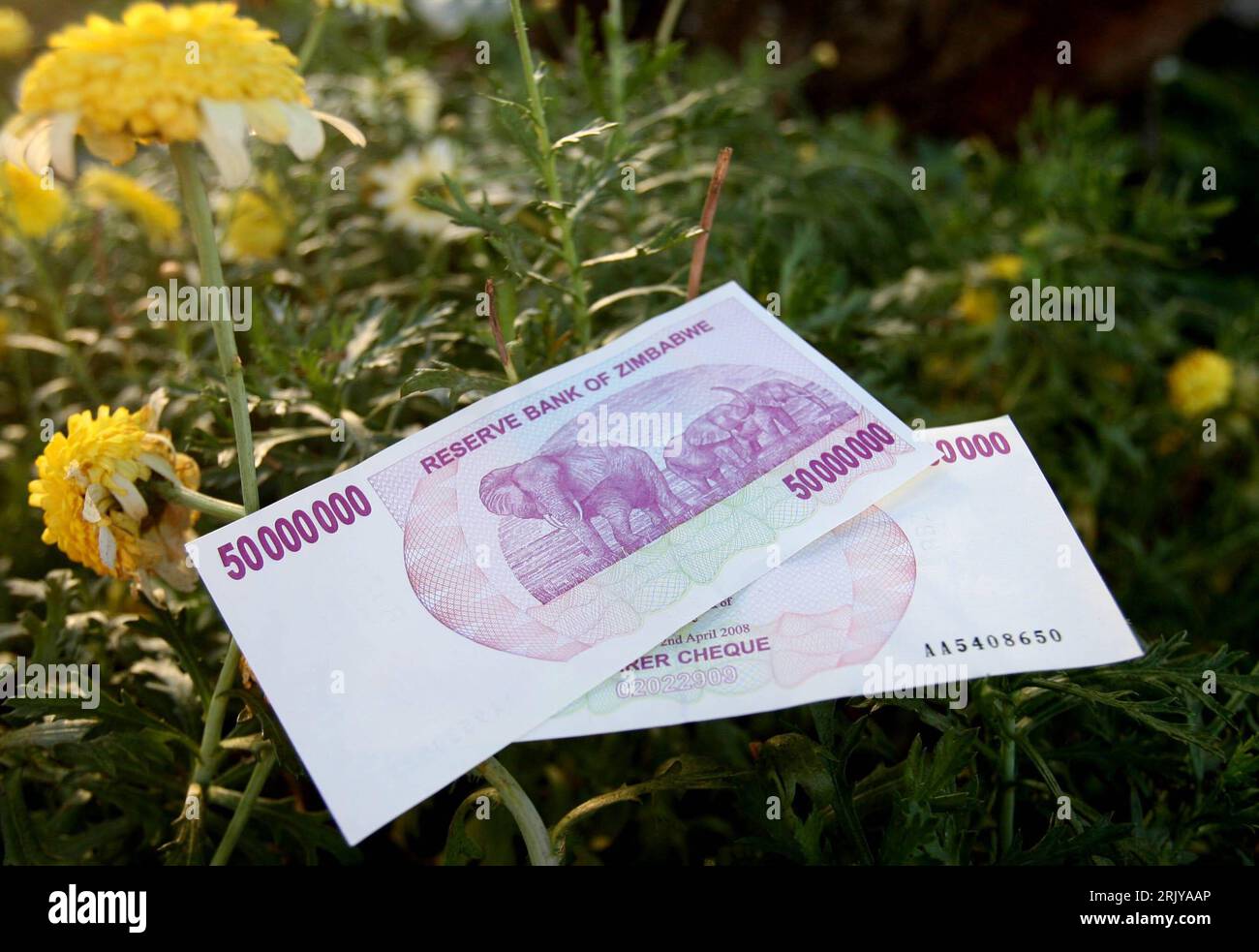 50 dollar schein hi-res stock photography and images - Alamy